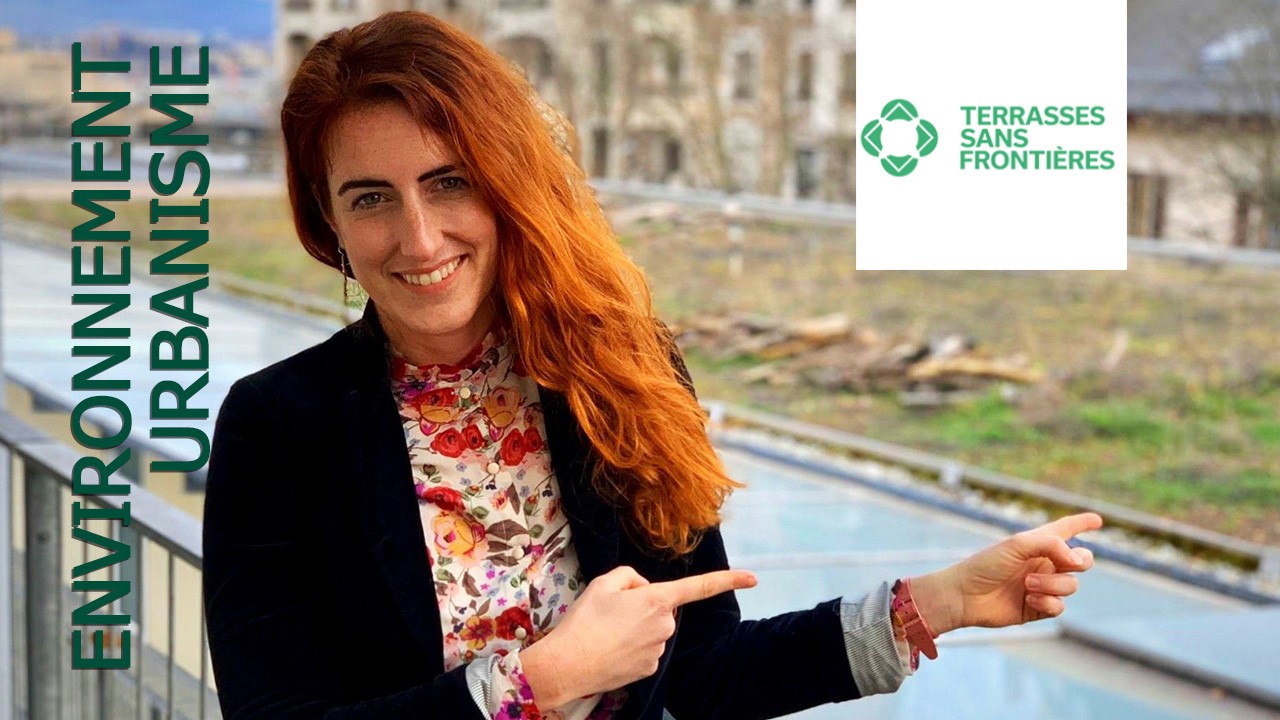 Végétaliser son toit pour la biodiversité, l'isolation et contre la ...